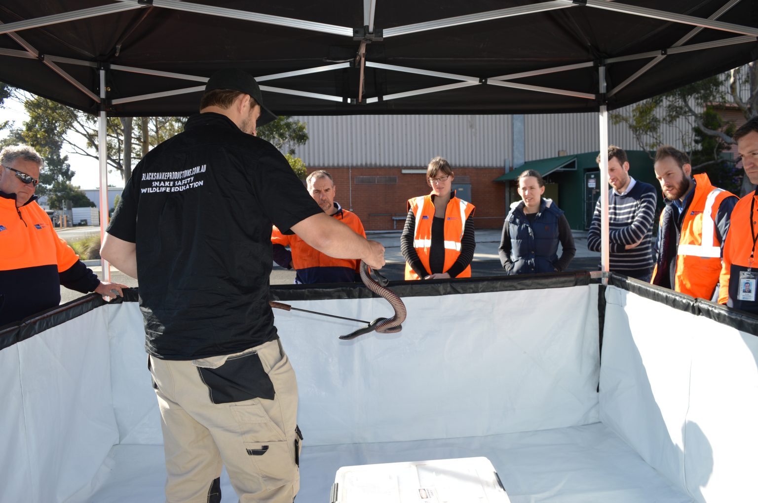 Snake Safety | Snake and Reptile Removal | Black Snake Productions